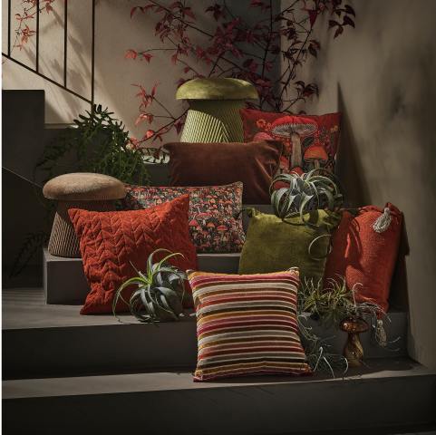 Coin - Coincasa | Arredo Casa Shop Online | Abbigliamento e Accessori